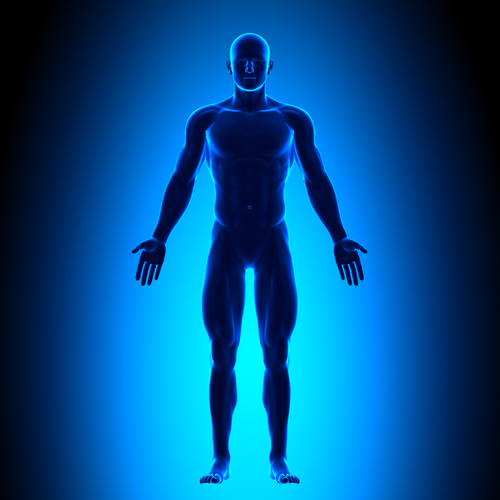 How your entire body can benefit from Anatomy in Motion (AiM)